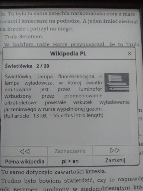 Kindle Gray Background In Some Widgets · Issue 3631 · Koreaderkoreader · Github