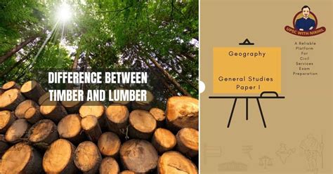 Difference Between Timber And Lumber