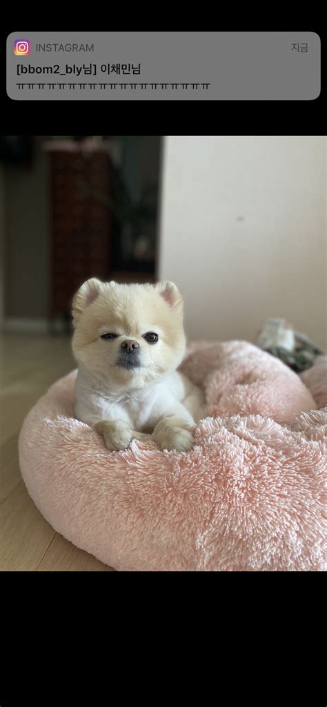 Swift 문법 3 함수 Function