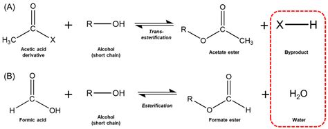 Novel And Efficient Synthesis Of Phenethyl Formate Via Enzymatic