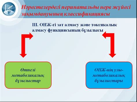 Презентация Гинекология по медицине скачать проект