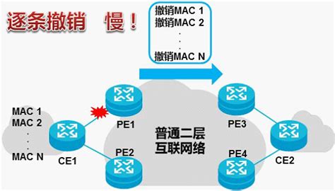读透，什么是 Evpn ？ 知乎