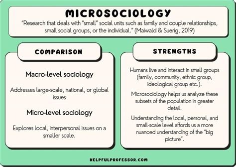 Microsociology Definition Examples And Criticism 2025