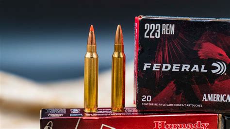 Is 223 Remington Good For Hunting Deer