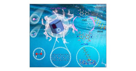 Portable Hydrogel Kits Made With Bimetallic Nanozymes For Point Of Care Testing Of