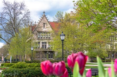 Ml Algorithms Vs Ml Models — Eitc