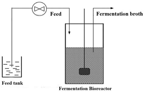 Biobutanol Production From Acetonebutanolethanol Fermentation