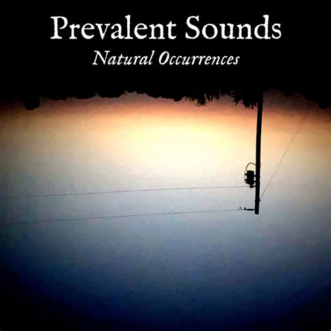 Natural Occurrences Prevalent Sounds