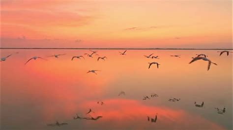 가을사랑 Youtube