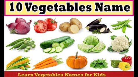 4 Main Types Of Vegetables