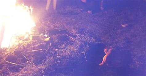 Charmander Used Flamethrower Imgur