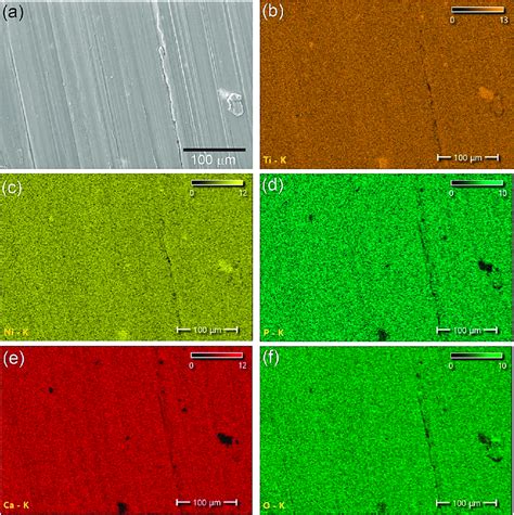 Sem Image A And Eds Mapping Of The Element Composition B F Of A Download Scientific Diagram
