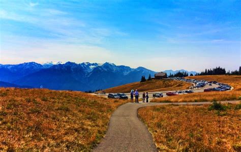 Hiking Hurricane Ridge In Olympic National Park Wildlife And Beautiful