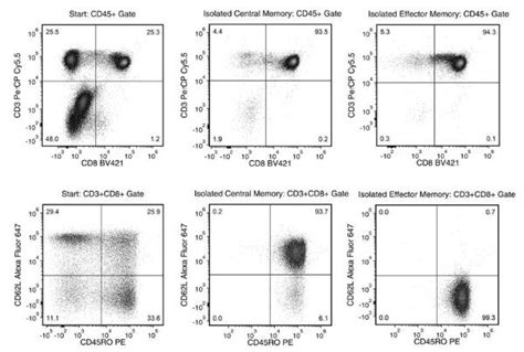 Easysep Human Centraleffector Memory Cd8 T Cell Kit Stemcell