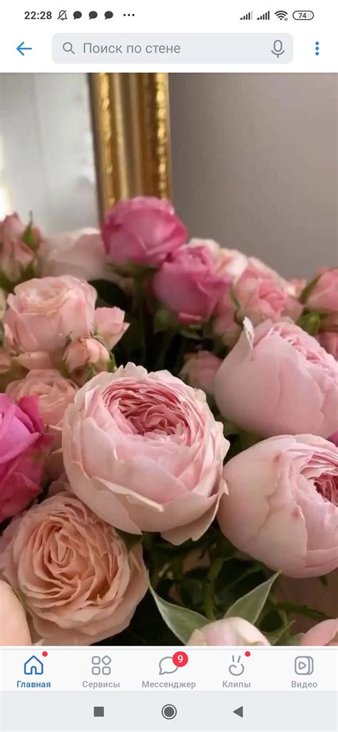 Ольга Носова ПОДСЛУШАНО на улицах Ростова разговор двух вполне благонадежных с виду