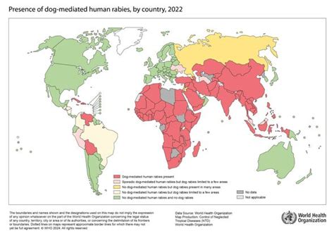 Rabies Hotspots Where Youre Most Likely To Be Infected Uk News
