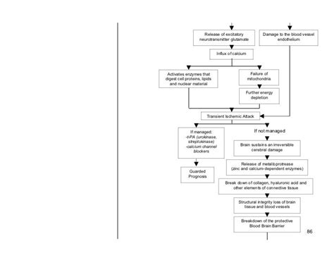 Schematic Pathophysiology Cva