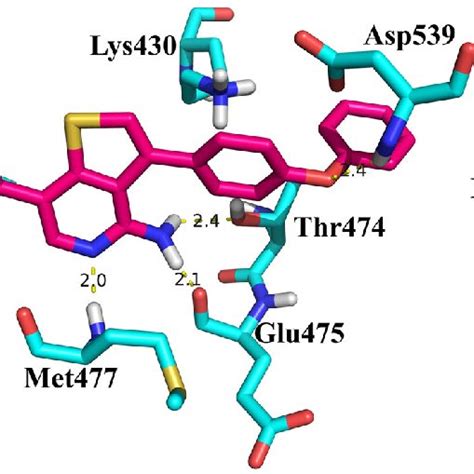 The Binding Conformation And Hydrogen Bonding Interactions Of Compound Download Scientific