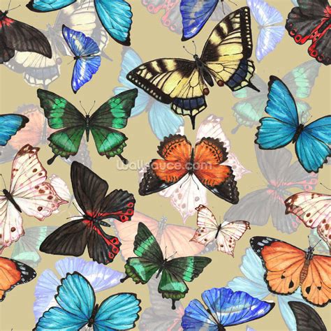 Butterfly Pattern Wallpaper Wallsauce Au