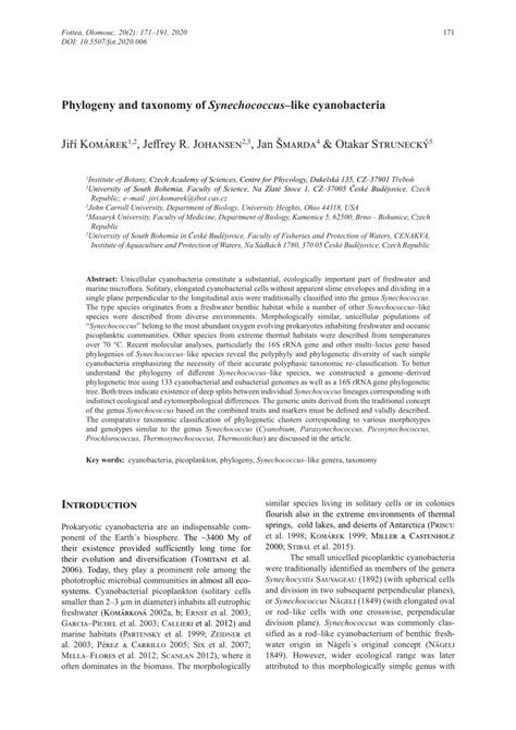 Pdf Phylogeny And Taxonomy Of Synechococcus Like Cyanobacteria