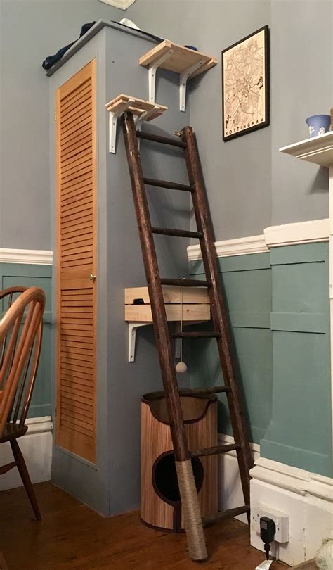 10 Free Diy Cat Ladder Plans You Can Make Today With 48 Off