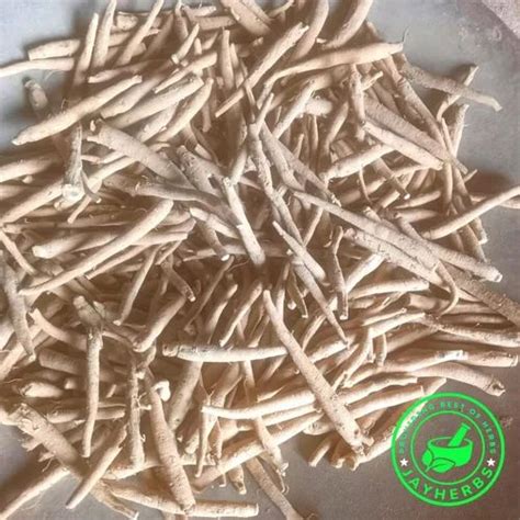 100 Ashwagandha Withania Somnifera Packaging Type Pp Poly Bag