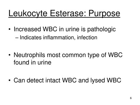 Ppt Chemical Examination Of Urine Part Iv Nitrite And Leukocyte