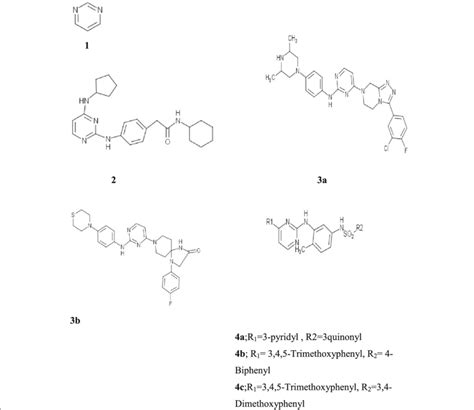 Chemical Structure Of 2 4 Disubstituted Pyrimidine Derivatives Download Scientific Diagram