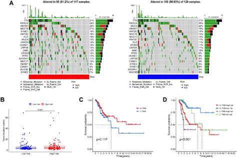 The Mutation Profile And Tmb Analysis A Mutation Profile Of Cscc