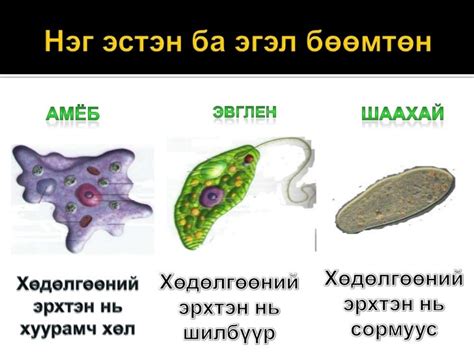 Amid Bie Maxbodiin Khudulguun