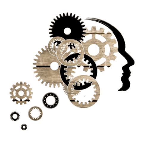 Systemic Neuroscience Consulting Group Neuro Agility