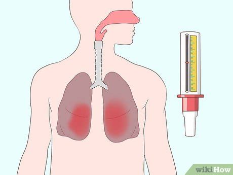 How To Measure Lung Capacity 9 Steps With Pictures WikiHow Health