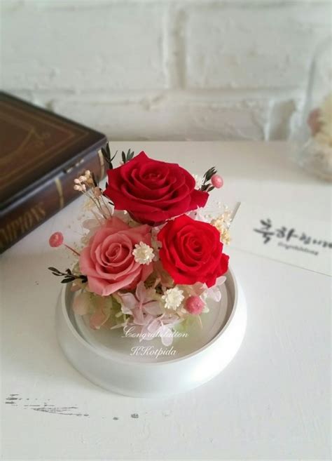 시들지않는꽃 프리저브드플라워 결혼선물 대구 꽃배달 네이버 블로그