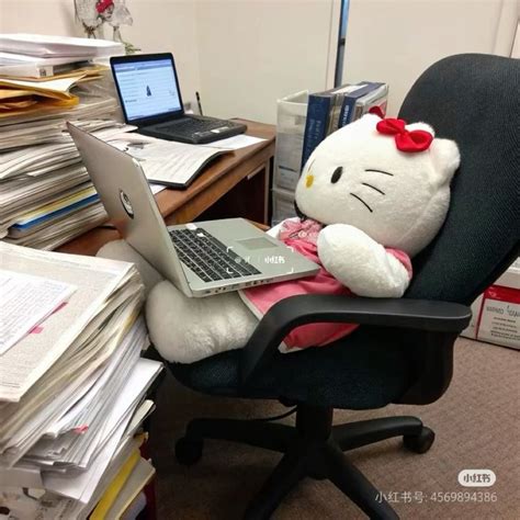 Hello Kitty Memes Keabetswe Chaos Kitty ハローキティー キティ コンセプトフォト