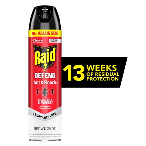 Raid Defend Indoor Ant And Roach Killer Spray Value Size 20 Oz