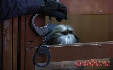 Суд арестовал женщин задержанных за подготовку теракта по заказу СБУ Новости Постила