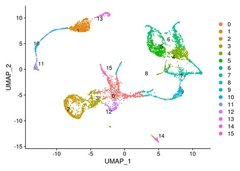 7 Seurat Single Cell Workshop