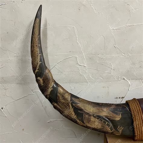 물소뿔 대형 물소뿔 장식품 인테리어용 인테리어소품 인테 인테리어소품 중고나라