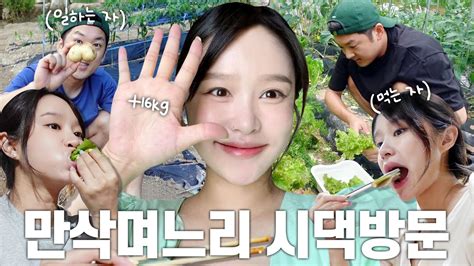 시댁에서 먹고 잠자기 바쁜 며느리 Feat시캉스 Youtube