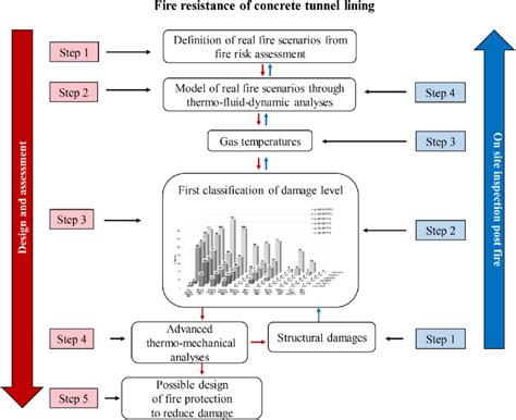 Procedure For The Application Of The Proposed Methodology Download