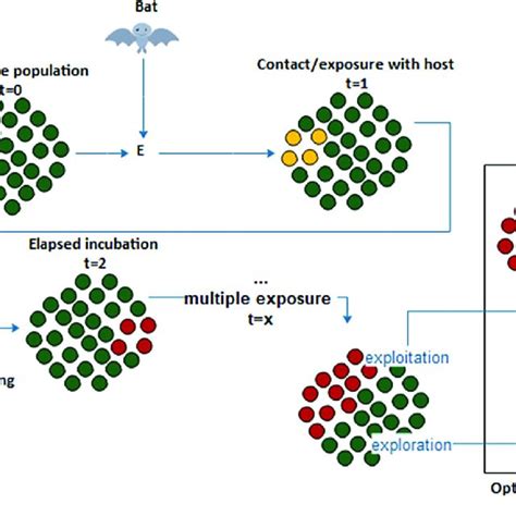 The Flowchart Showing The Optimization Process Of The Hybrid Methods Download Scientific