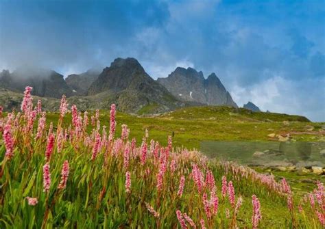 Valley Of Flowers Trek Best Time To Visit In 2025