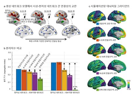두뇌 발달 열쇠 찾았다 Ibs 시상 대뇌피질 연결성 영향 최초 규명 전자신문