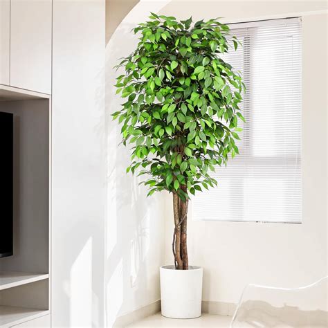 Keeplush 7ft Large Artificial Ficus Trees With Natural Curved Trunks