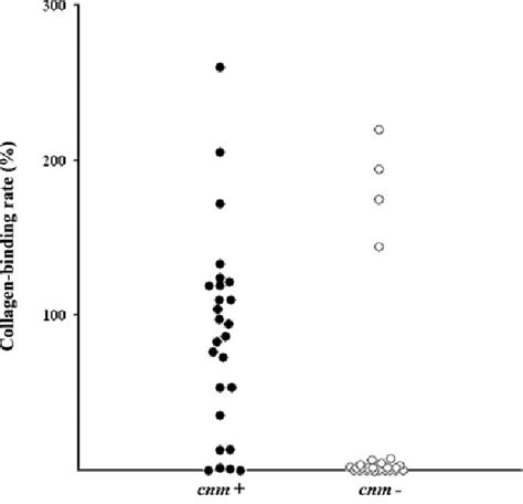 Figure 2 From Multilocus Sequence Typing Analysis Of Streptococcus Mutans Strains With The Cnm