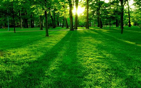 4k Ultra Hd Green Wallpapers Top Free 4k Ultra Hd Green Backgrounds