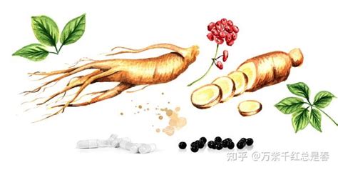 好消息！替雷利珠单抗获批一线治疗晚期胃癌！生存期刷新记录！ 知乎