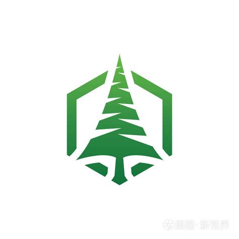 优雅松树六角形标志设计模板矢量插画 正版商用图片1sdc5j 摄图新视界