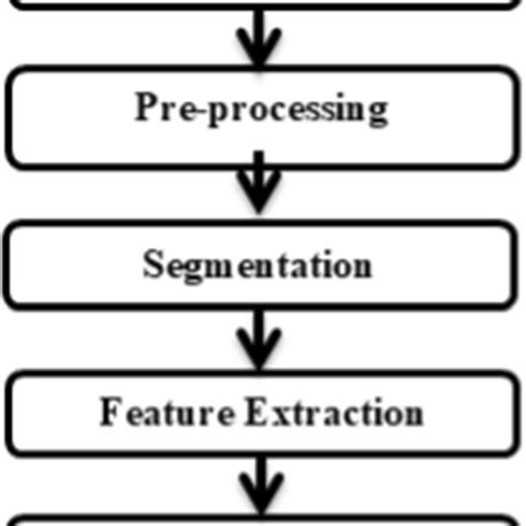 Graphical Representation Of Sinh Function Download Scientific Diagram