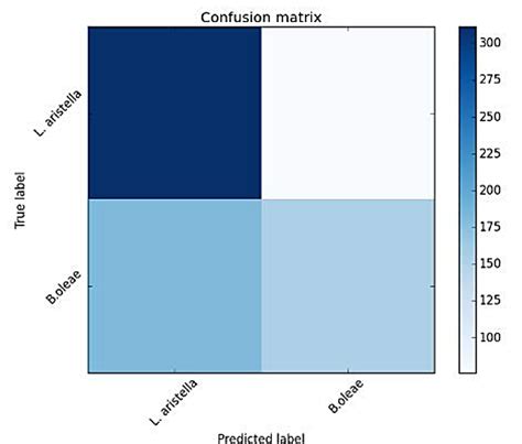 Confusion Matrix Of Verification Results Using The Absolute Distance